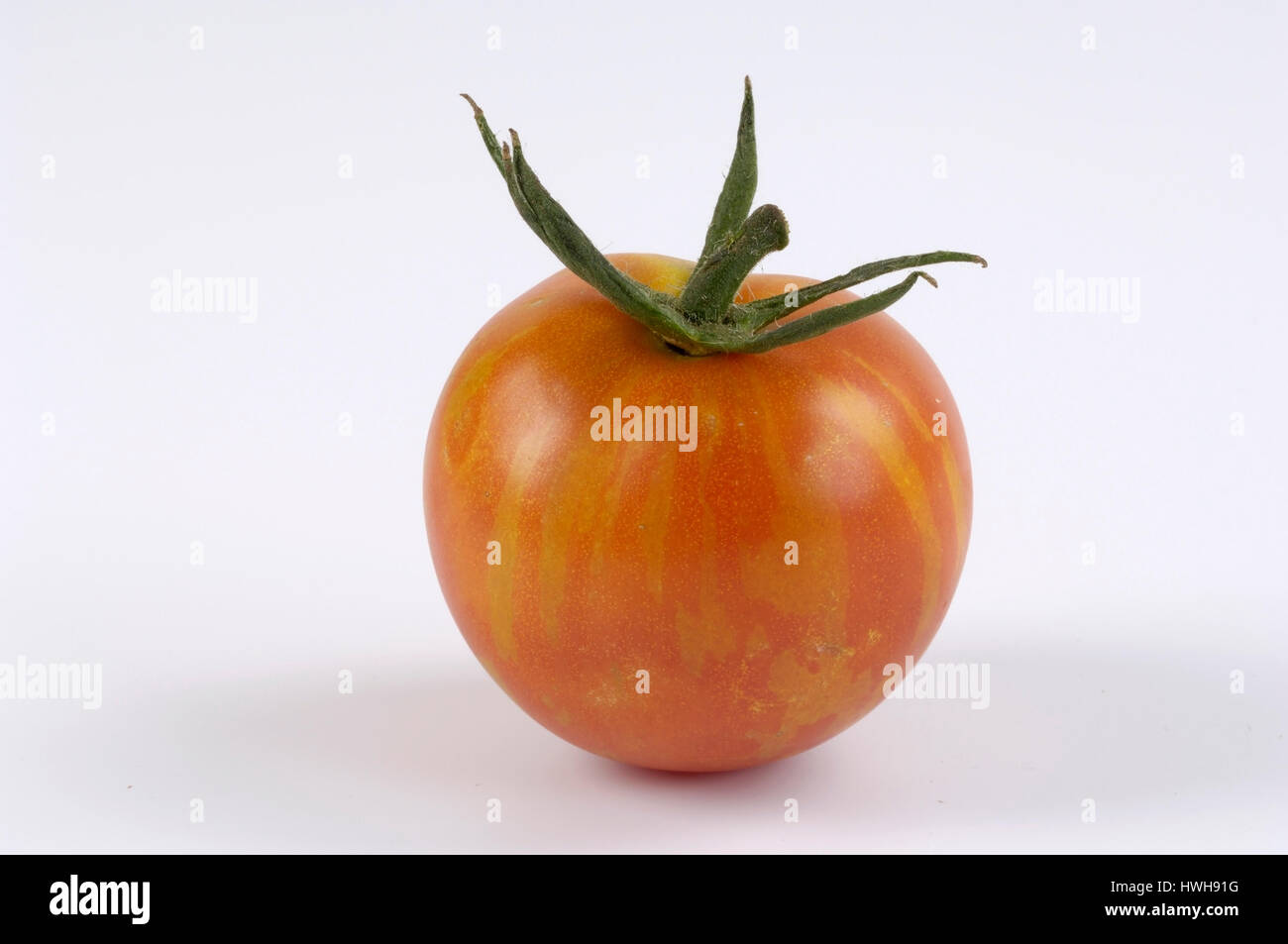 Tigerella Stock Photos & Tigerella Stock Images - Alamy