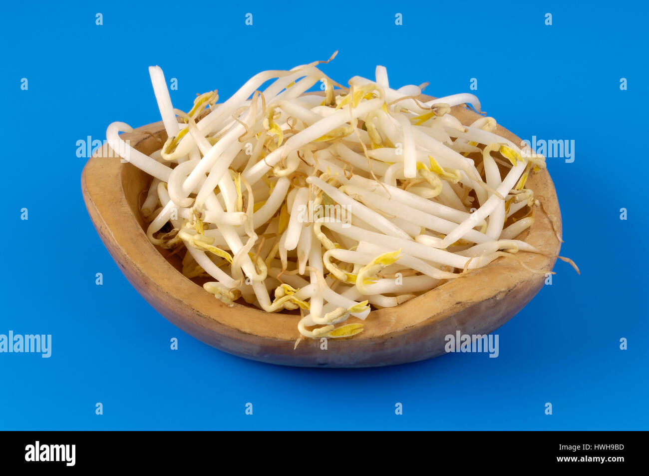 Soya sprouts, soy rungs, Soya sprouts | Soja Sprossen Stock Photo - Alamy