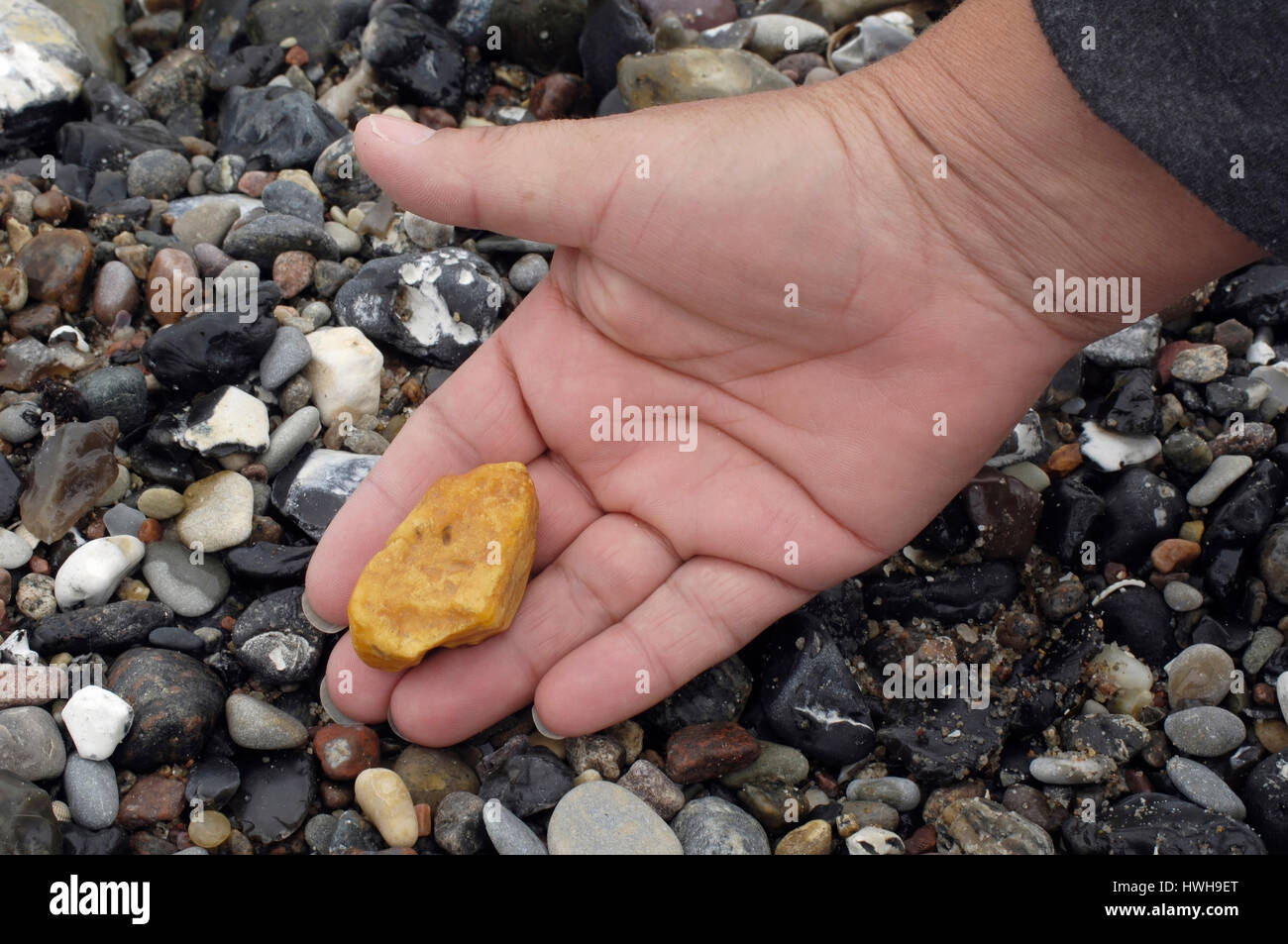 Hand with ambergris hand with amber Isle of R?gen, Mecklenburg-Western ...