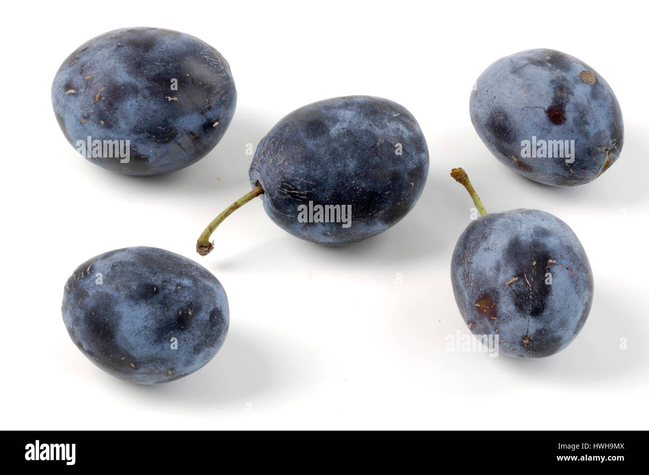 Plums, Prunus domestica plums house plum, free plate, cut out, object ...