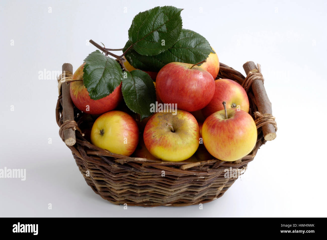 Apples, Malus domesticus apples inside, studio, indoor, free plate, cut ...