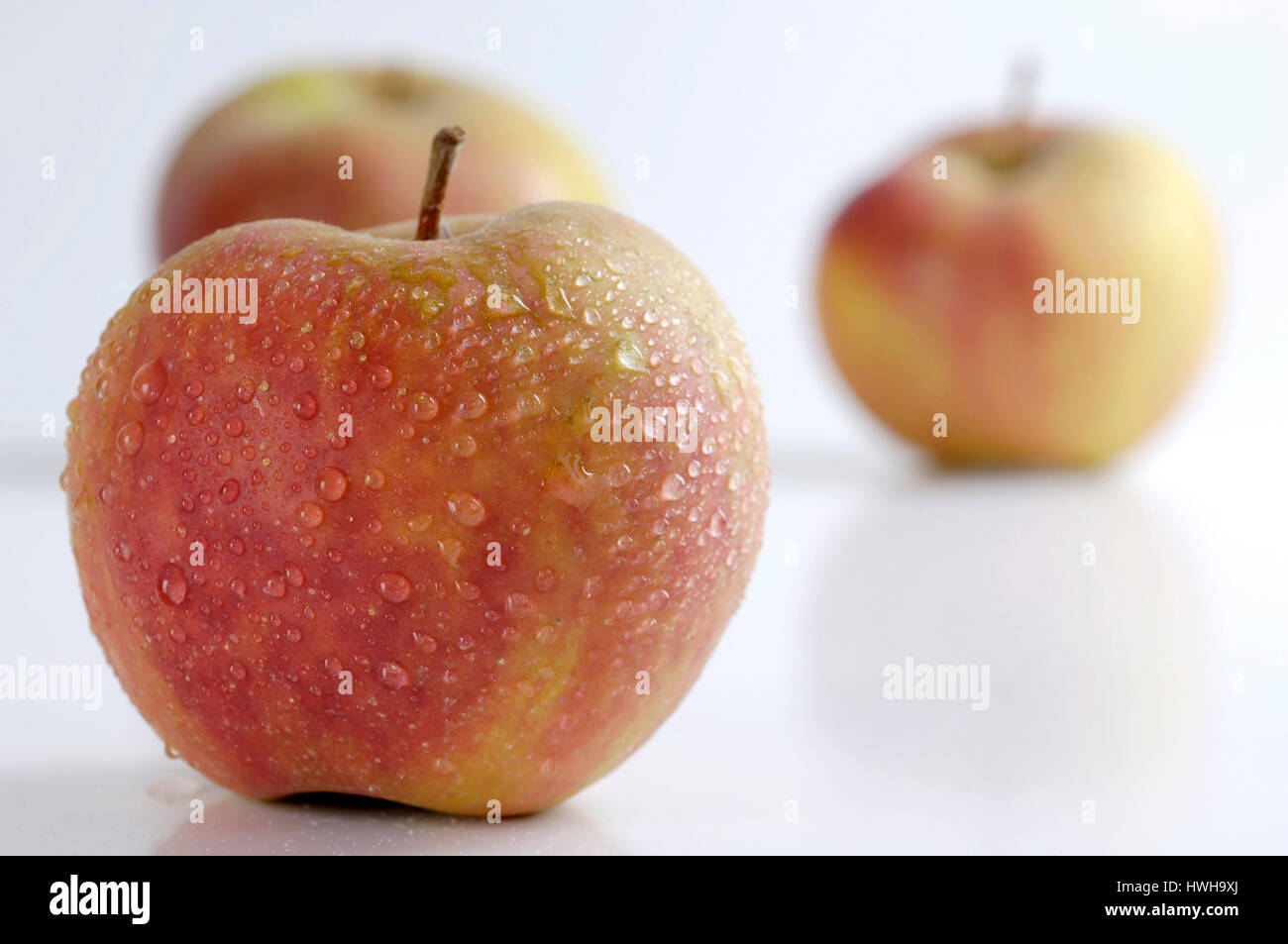 Apples, Malus domesticus apples inside, studio, indoor, free plate, cut ...