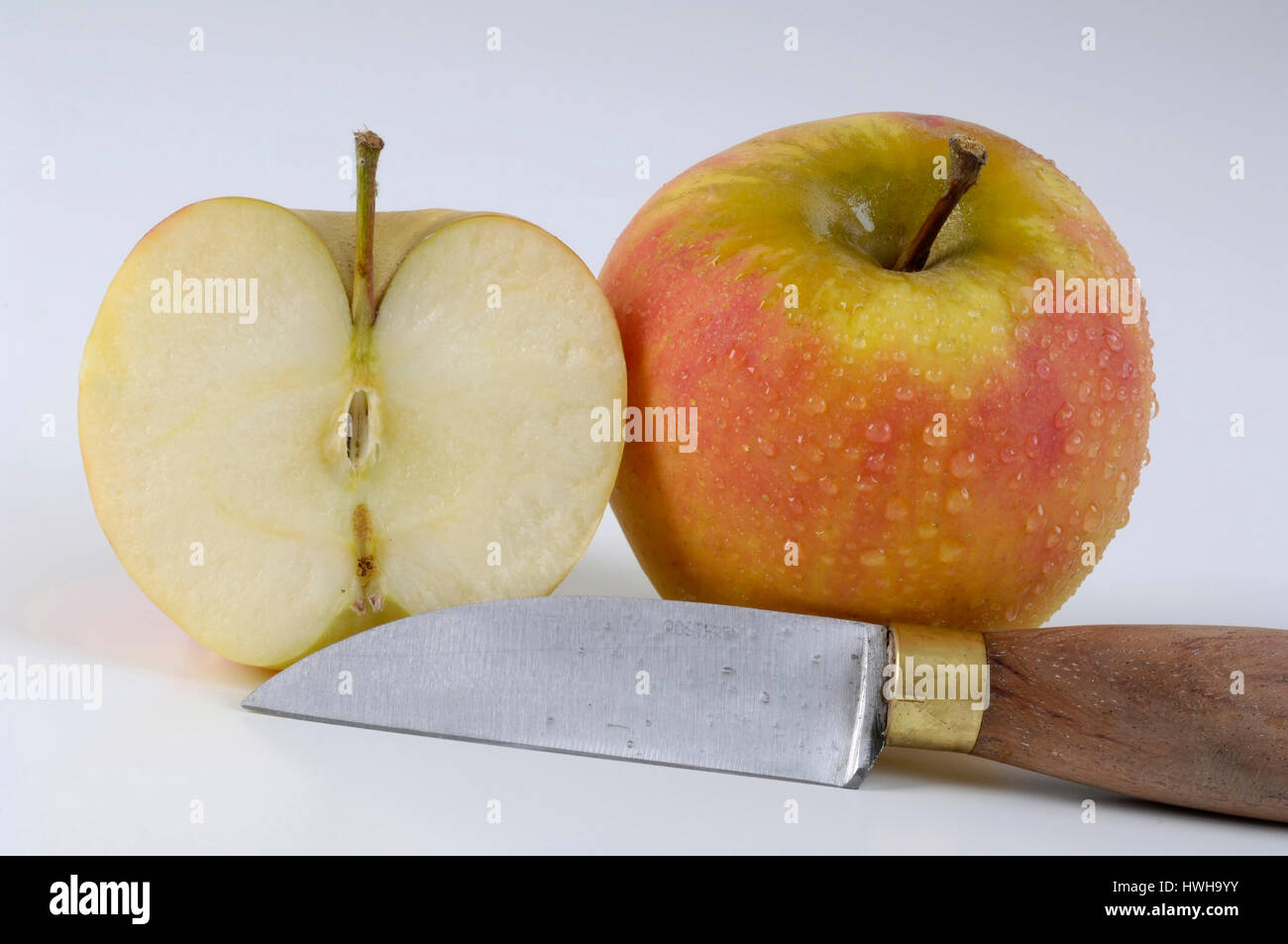Apples, Malus domesticus apples inside, studio, indoor, free plate, cut ...