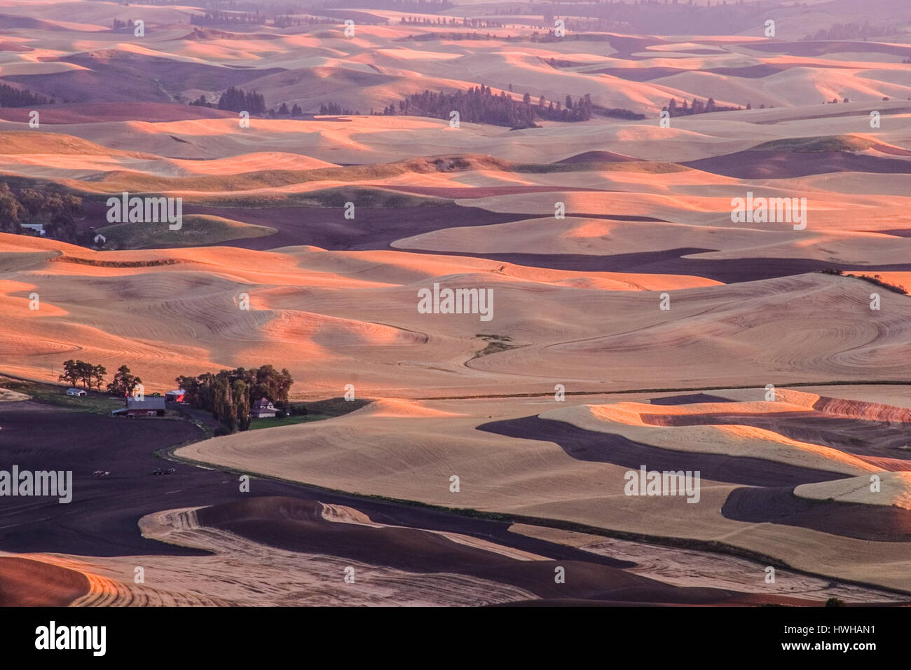 The Rolling Wheat Hills of Palouse Farm Land Stock Photo - Alamy