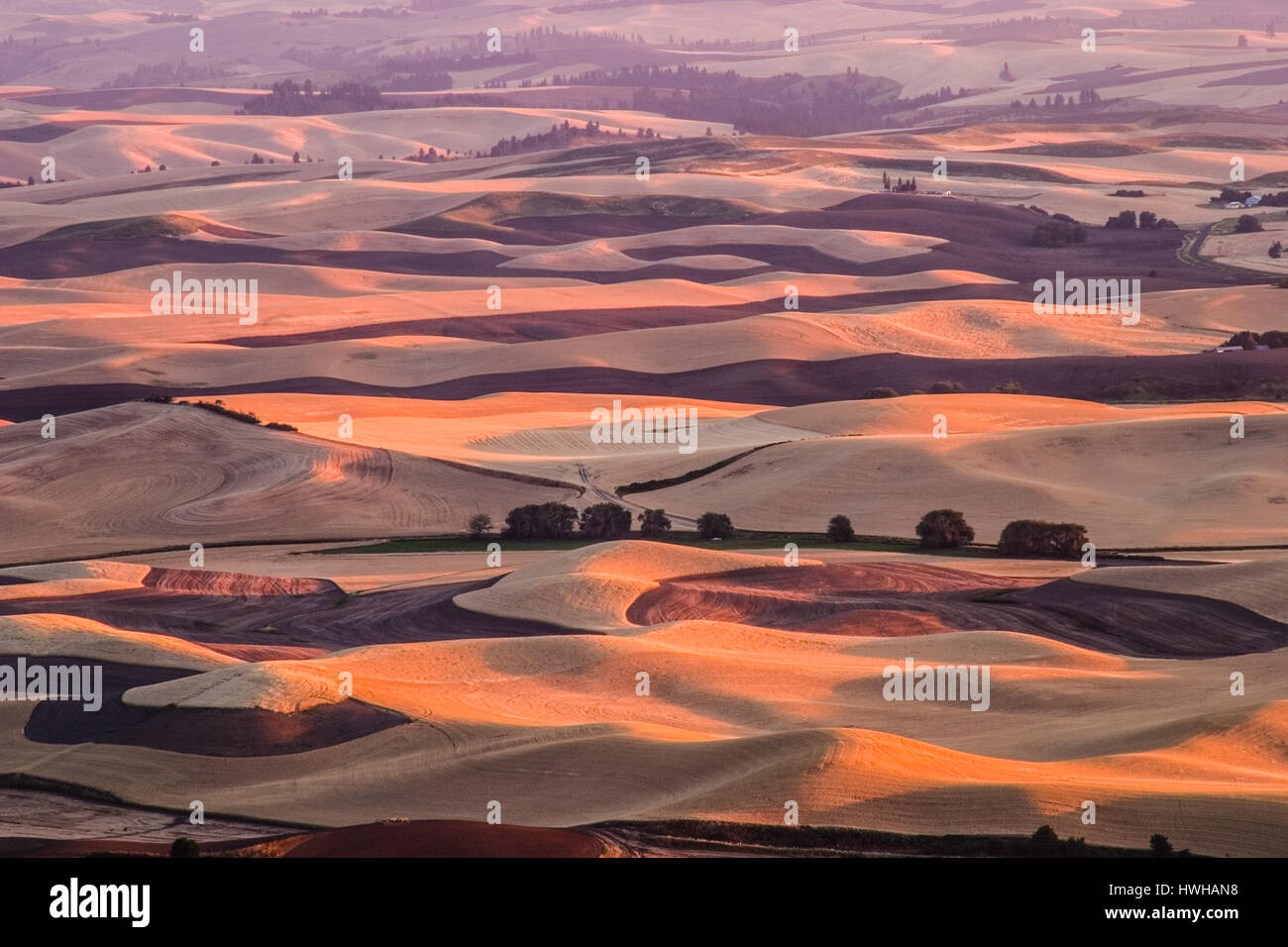 The Rolling Wheat Hills of Palouse Farm Land Stock Photo - Alamy