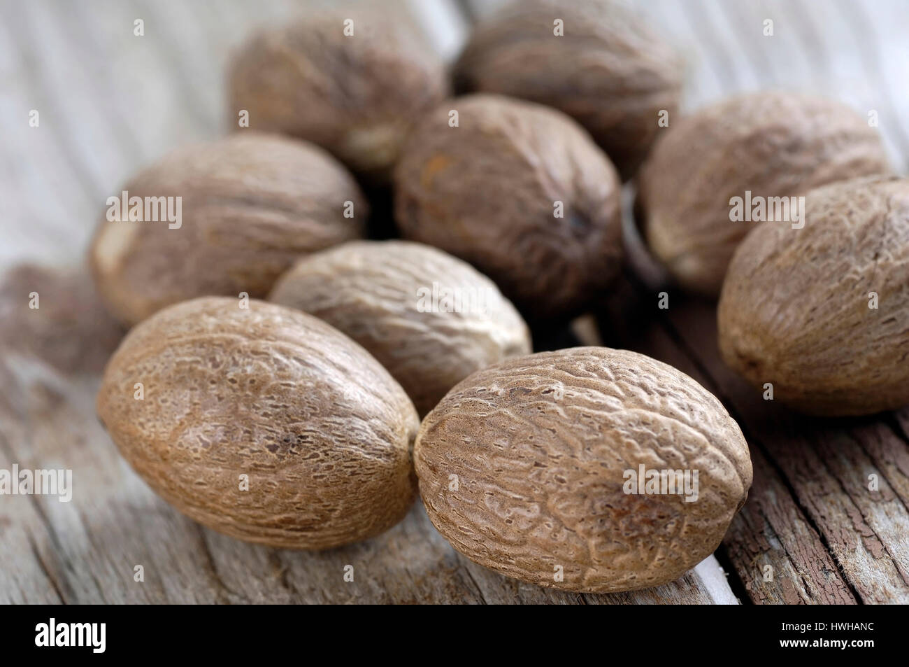 Nutmeg plants hi-res stock photography and images - Alamy