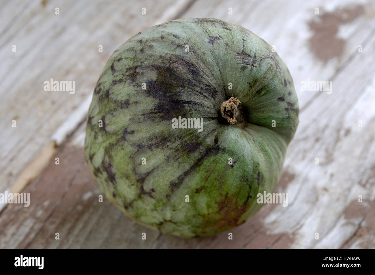 The cherimoya annona cherimola hi-res stock photography and images - Alamy