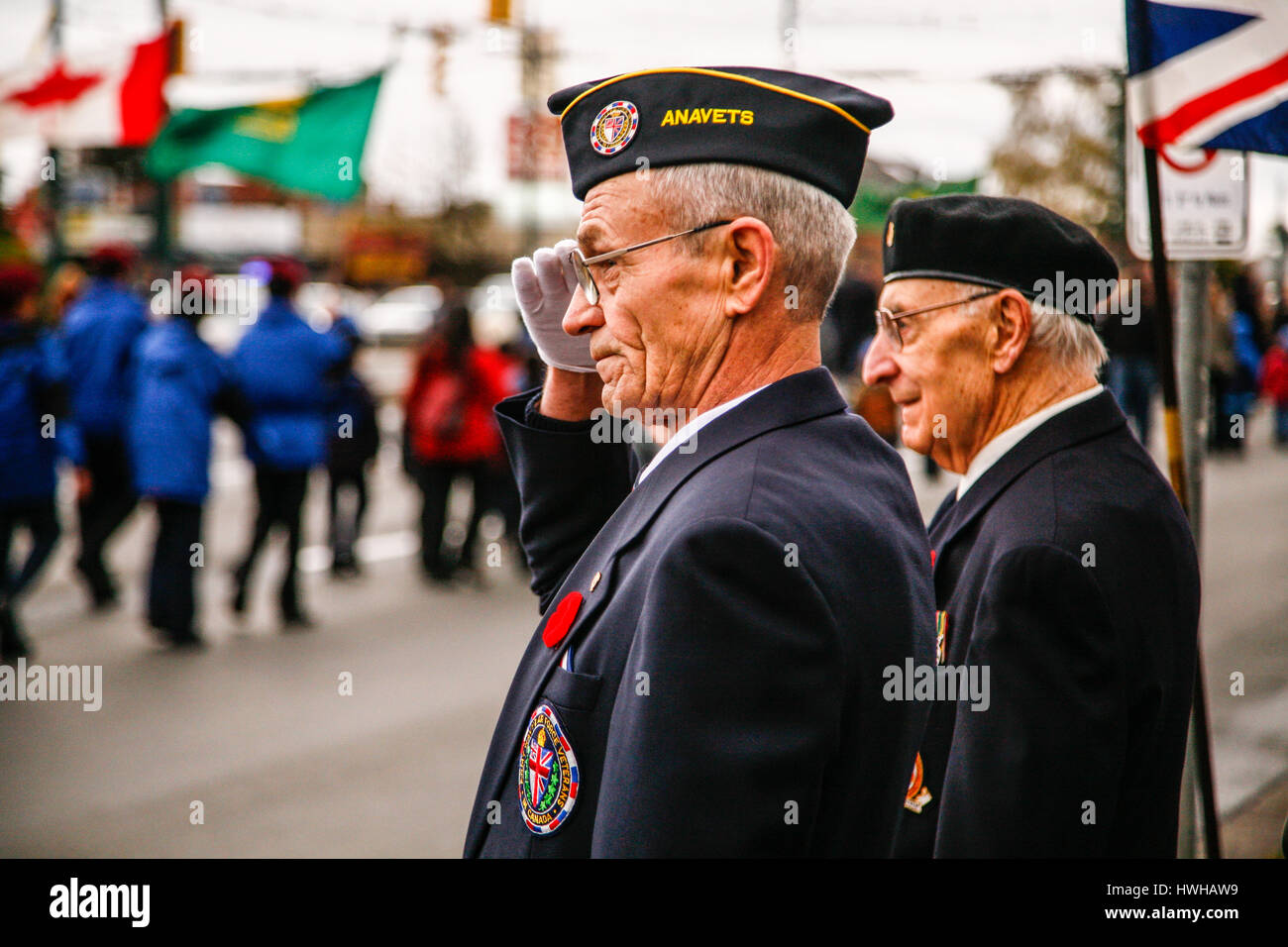 Senior veterans soluting hi-res stock photography and images - Alamy