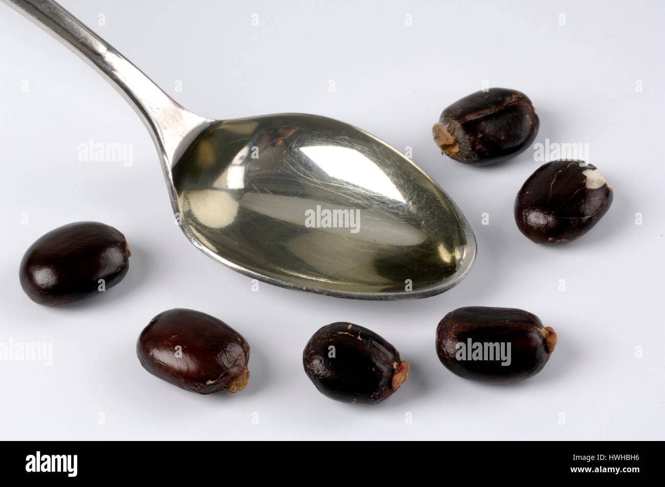 Castor seed hi-res stock photography and images - Alamy