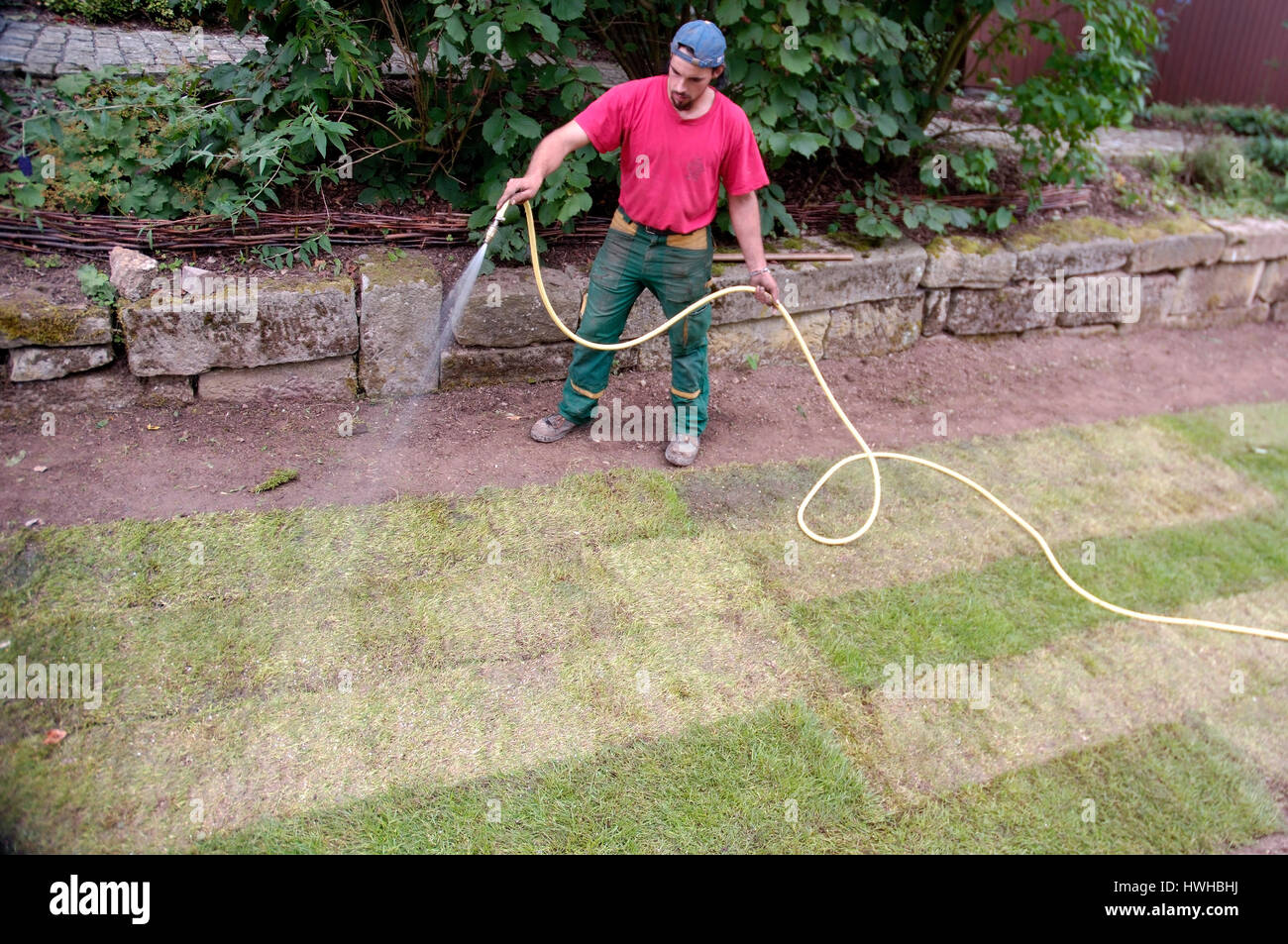 Laying sod, transfer of rolling lawn, cast on, Laying sod | Verlegung ...