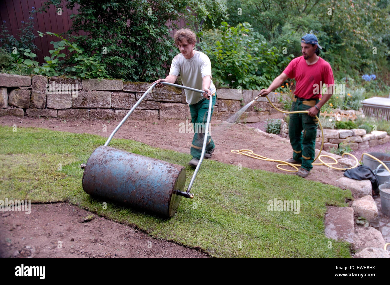 Laying sod, transfer of rolling lawn, cast on and waltz, Laying sod ...