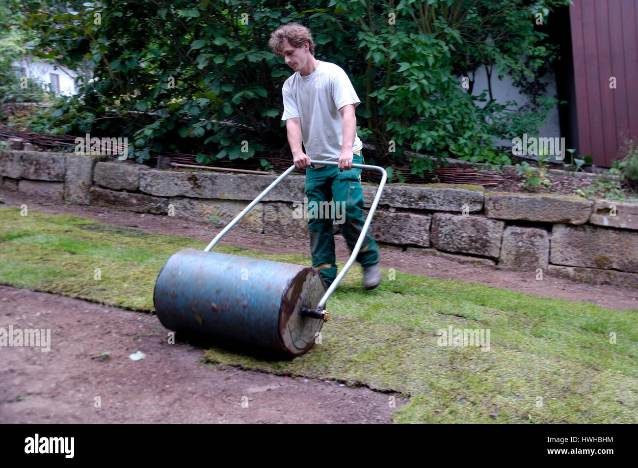 Laying sod, transfer of rolling lawn, roll, Laying sod | Verlegung von ...