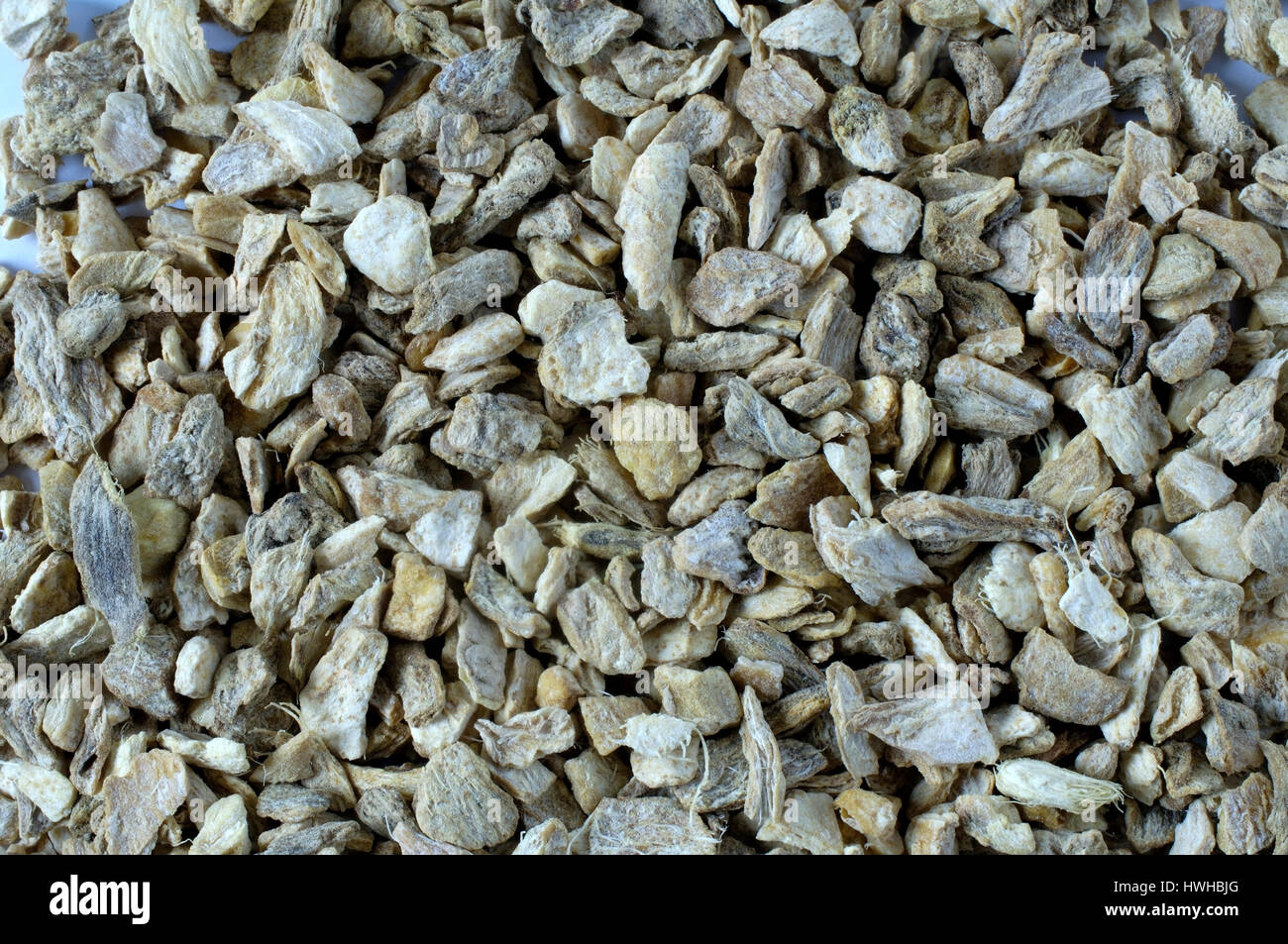 Common Ginger roots, Zingiber officinale, ginger roots, Zingiber ...
