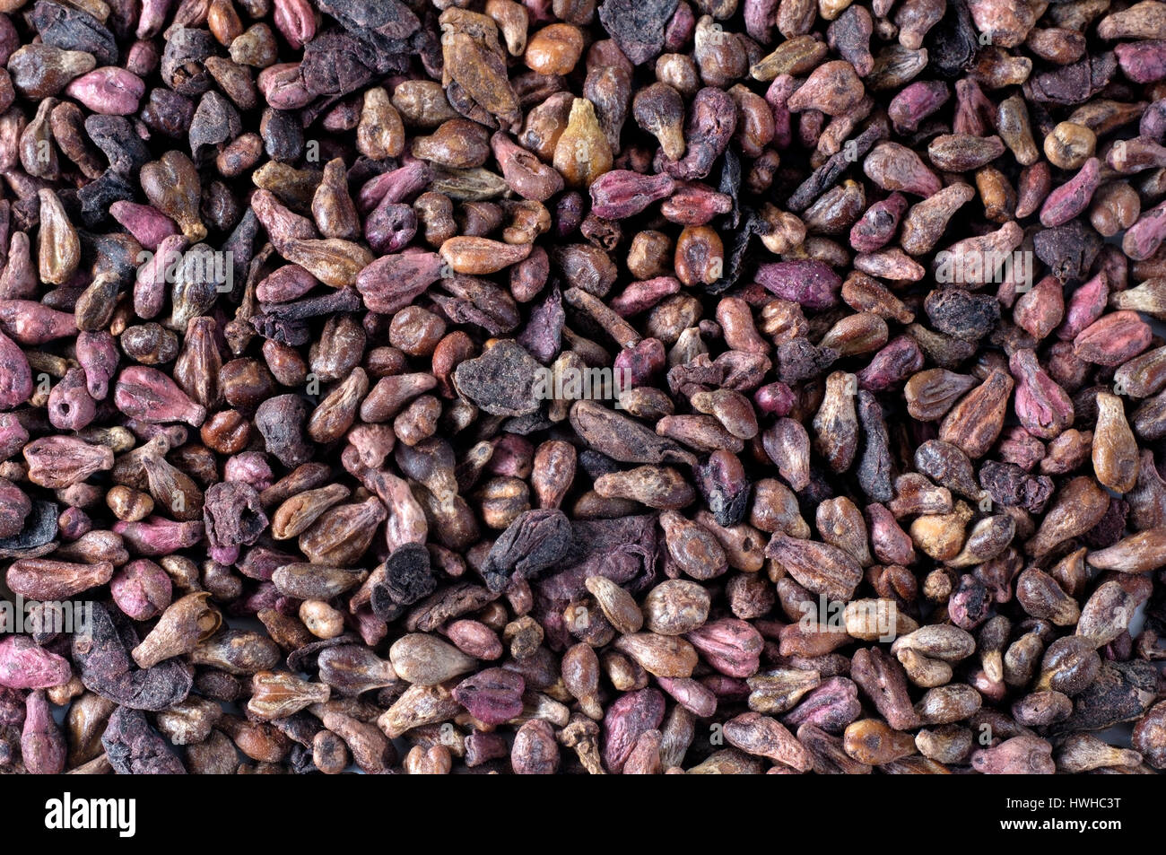 Common Grape, Vine grape seeds, Vitis vinifera, vine, real vine, seed ... Common Grape, Vine grape seeds, Vitis vinifera, vine, real vine, seed ...