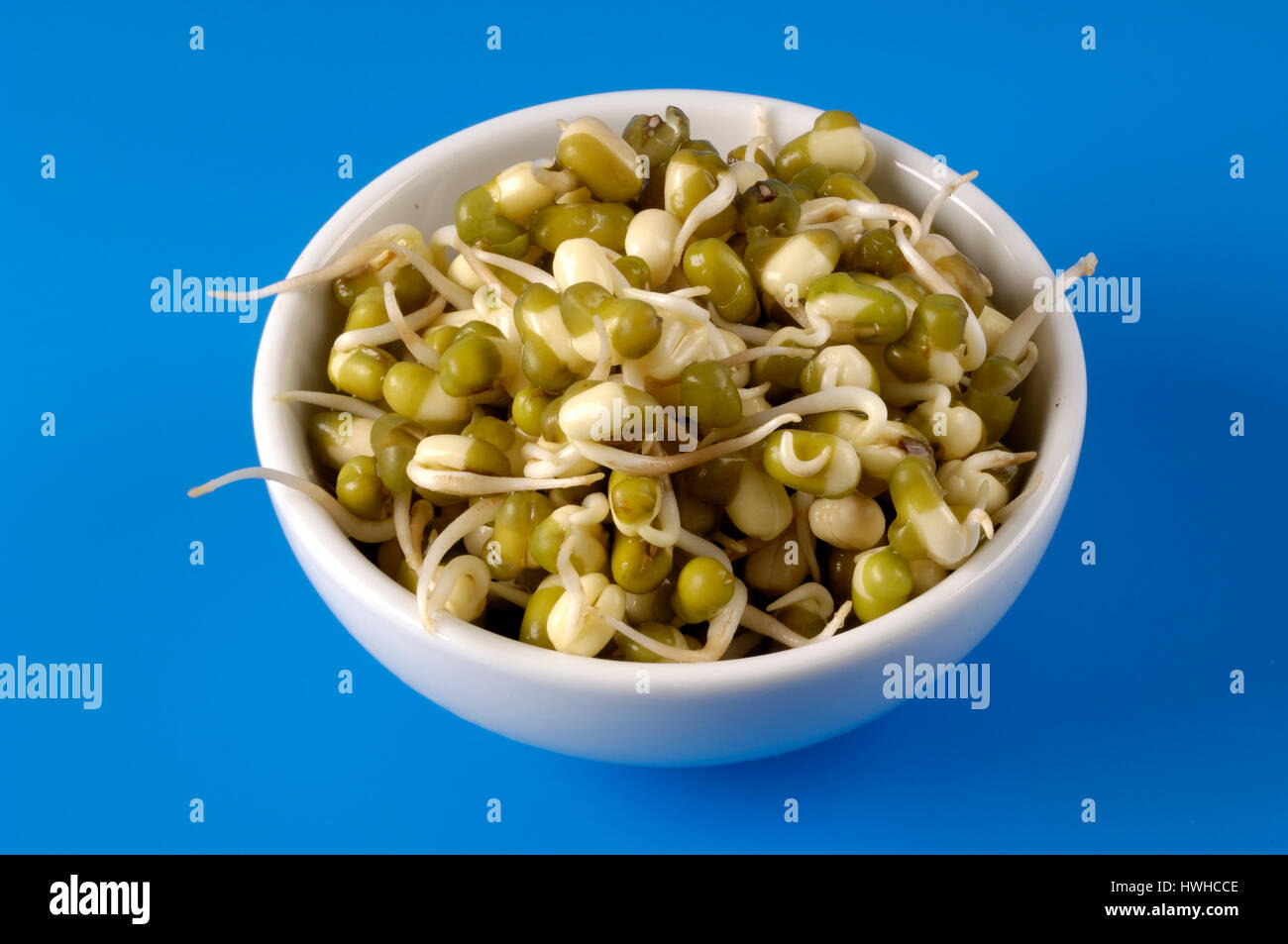 Mung bean sprouts, Vigna radiata, Vigna mongoose, Phaseolus mongoose ...