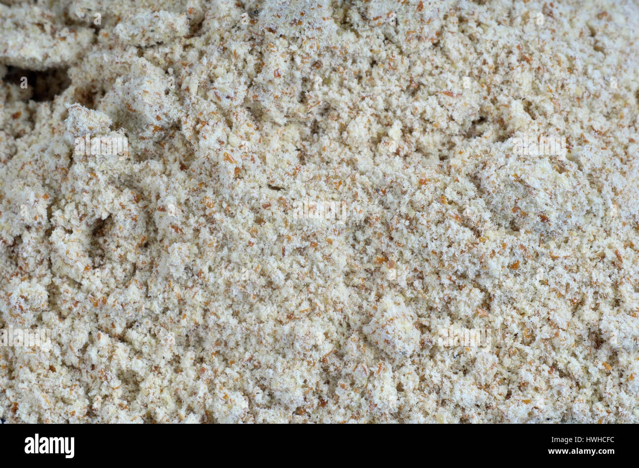Browntop millet, scrunched, Urochloa ramosa, brown millet, ground ...