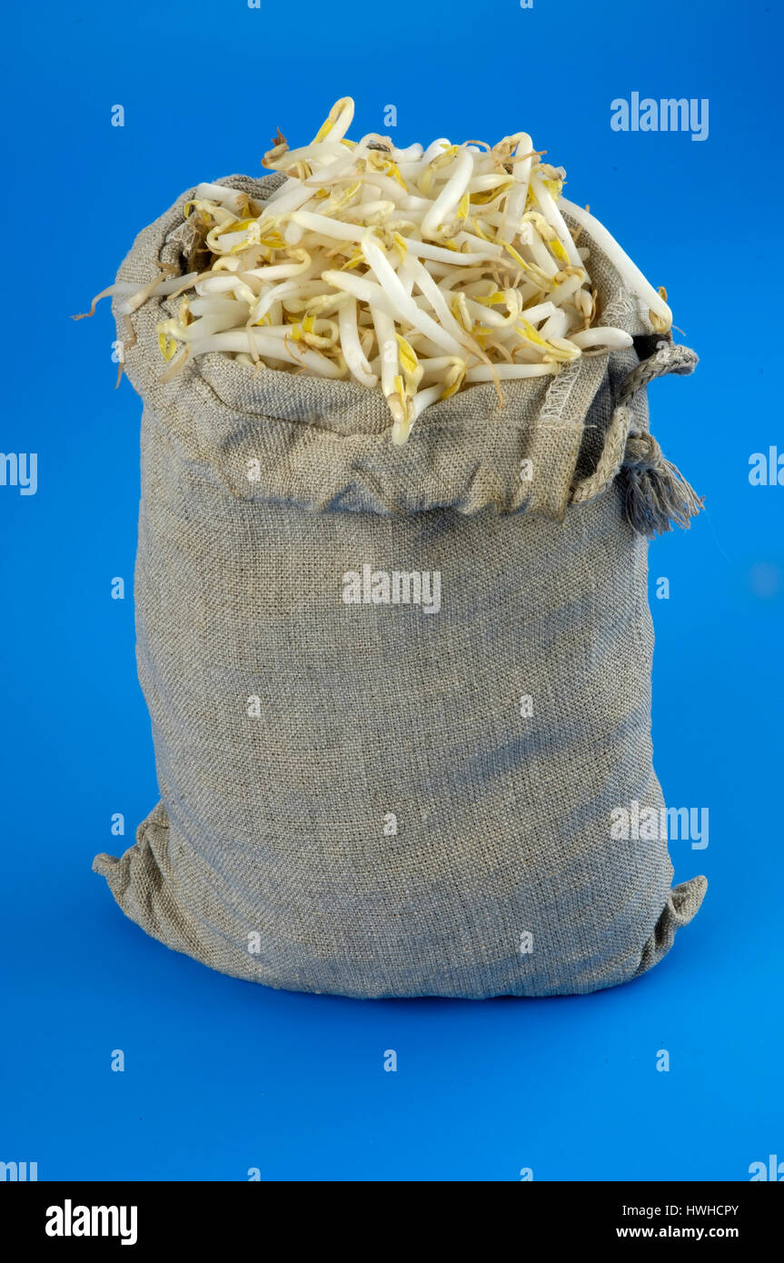 Soya sprouts, soy rungs, Soya sprouts | Soja Sprossen Stock Photo - Alamy