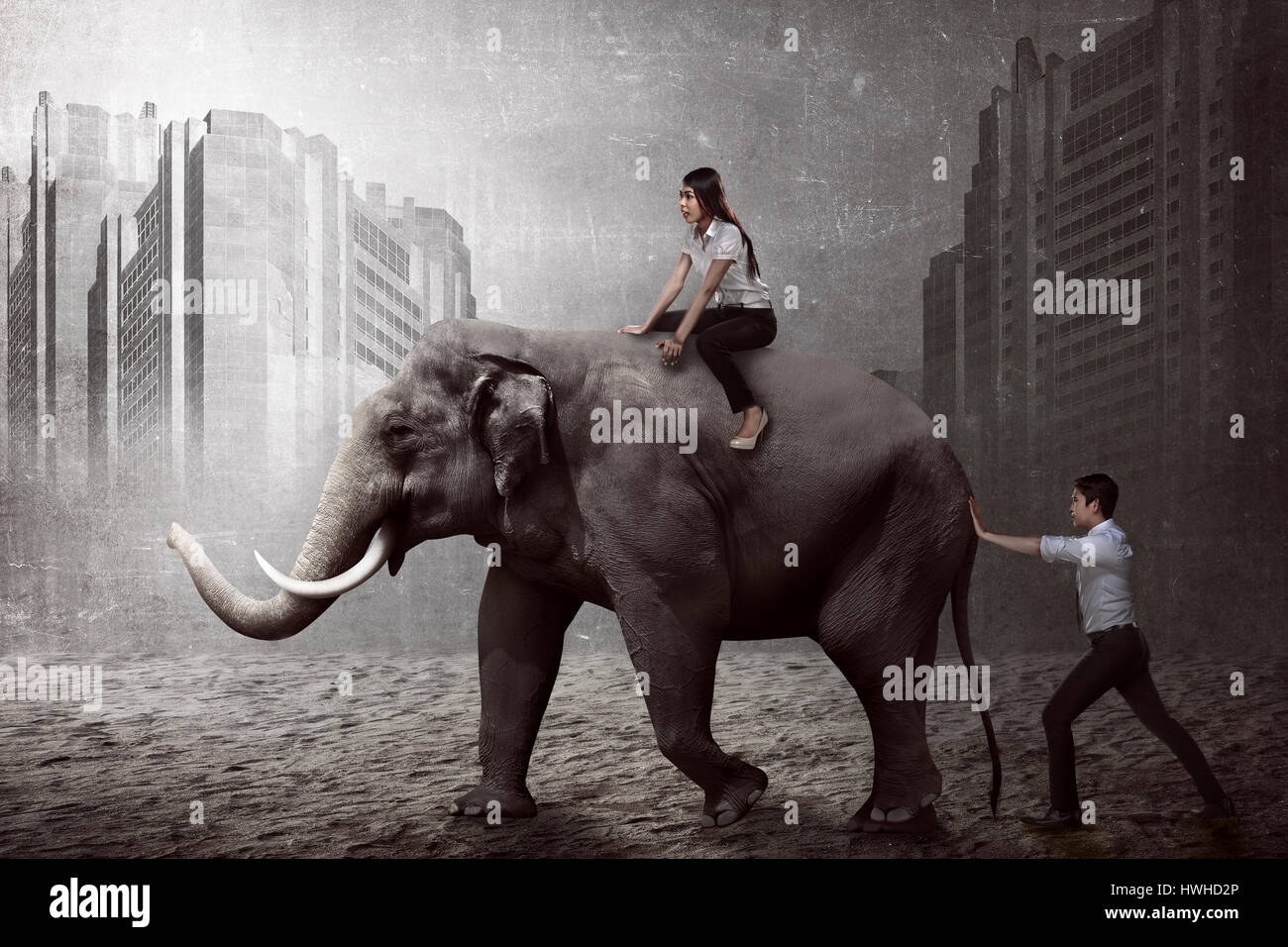 Elephant sitting back hi-res stock photography and images - Alamy