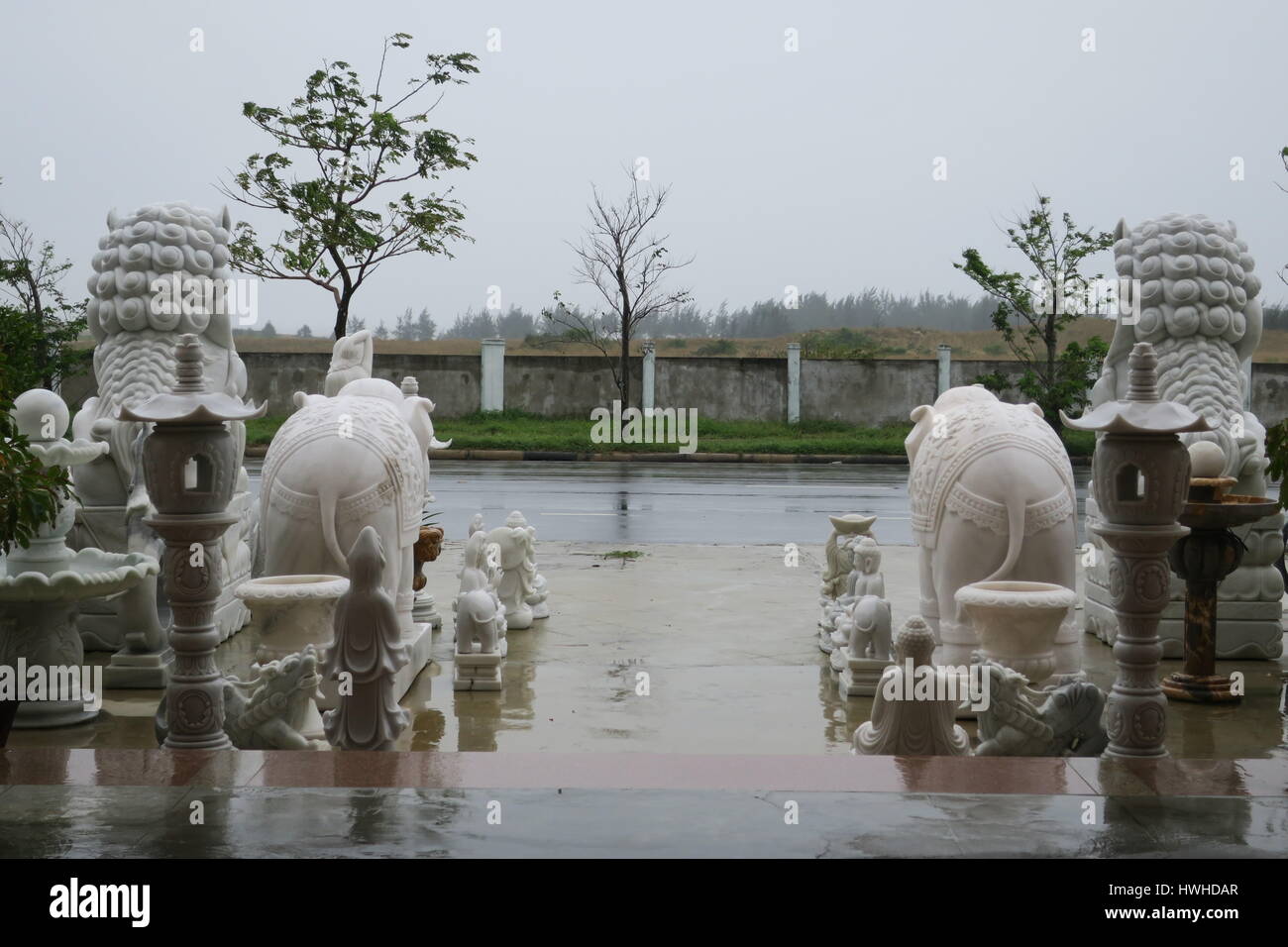 Roadside specimen hi-res stock photography and images - Alamy