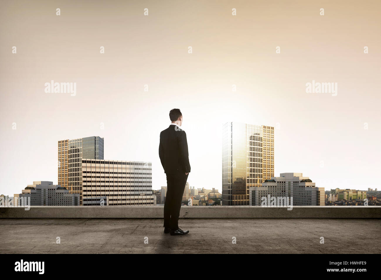Back view of successful manager looking the city from rooftop Stock ...