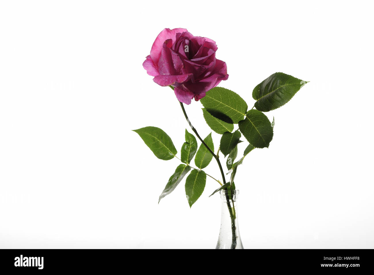 Falling flower cut hi-res stock photography and images - Alamy