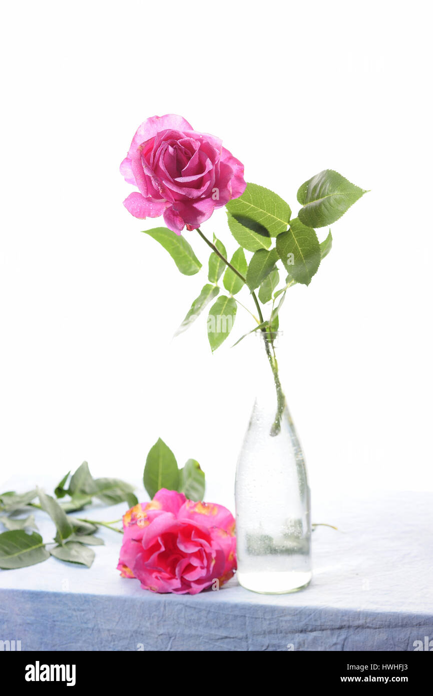 Falling flower cut hi-res stock photography and images - Alamy