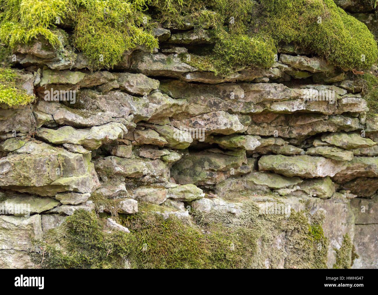 Layered shell hi-res stock photography and images - Alamy