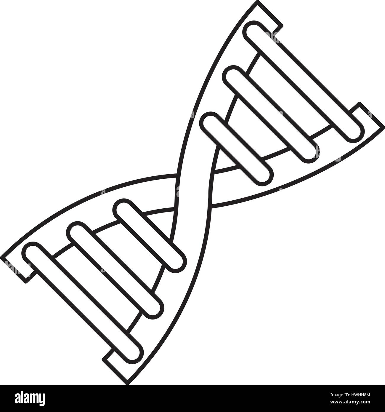 Human dna symbol Stock Vector Image & Art - Alamy