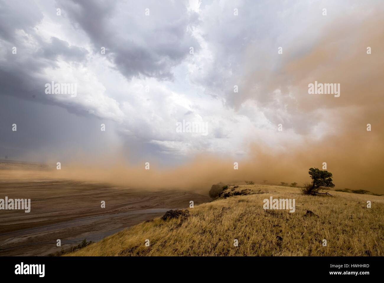 Dust wind hi-res stock photography and images - Alamy
