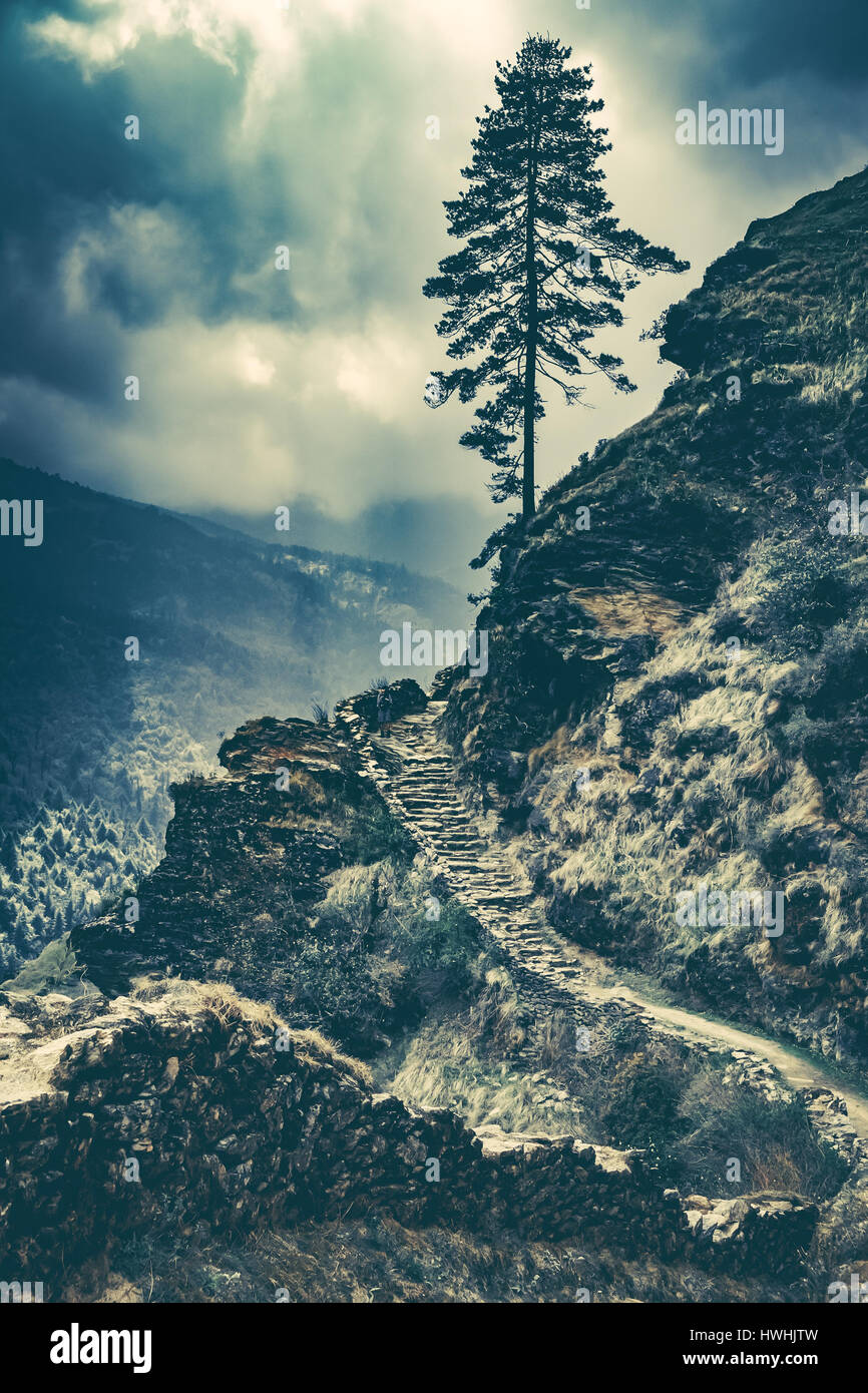 Dramatic nature landscape, trekking in Nepal Stock Photo - Alamy