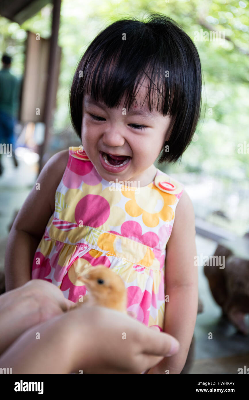 Happy asian chinese little girls hi-res stock photography and images ...