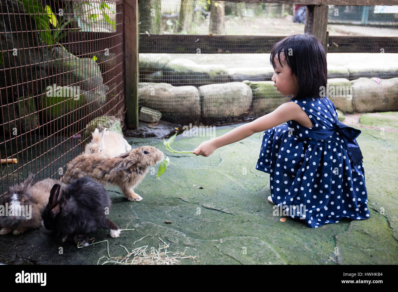 Female kids children rabbits hi-res stock photography and images - Alamy