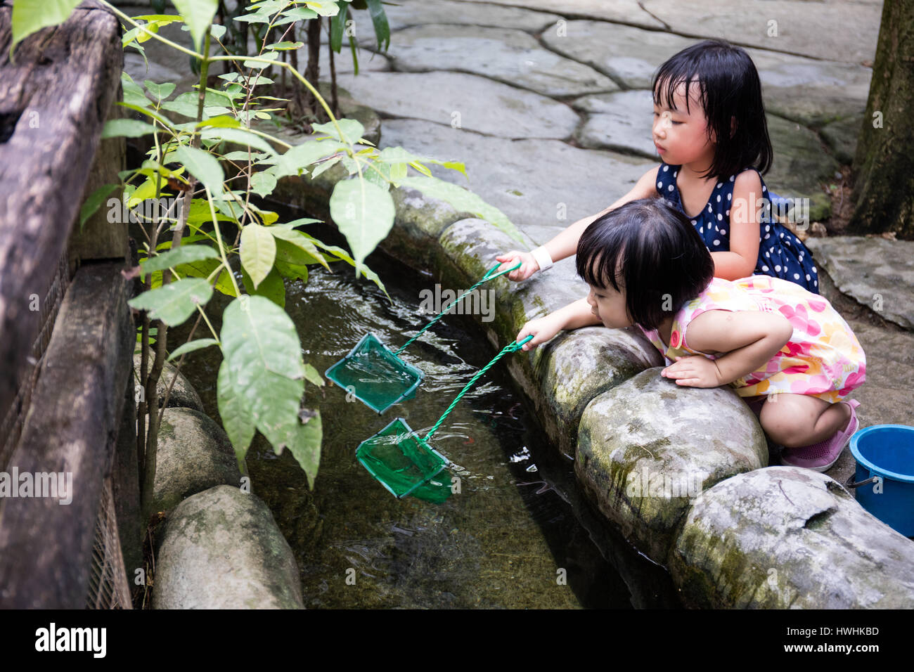 Asian Chinese Little Girls Fishing With Scoop Net At Outdoor Man-made ...