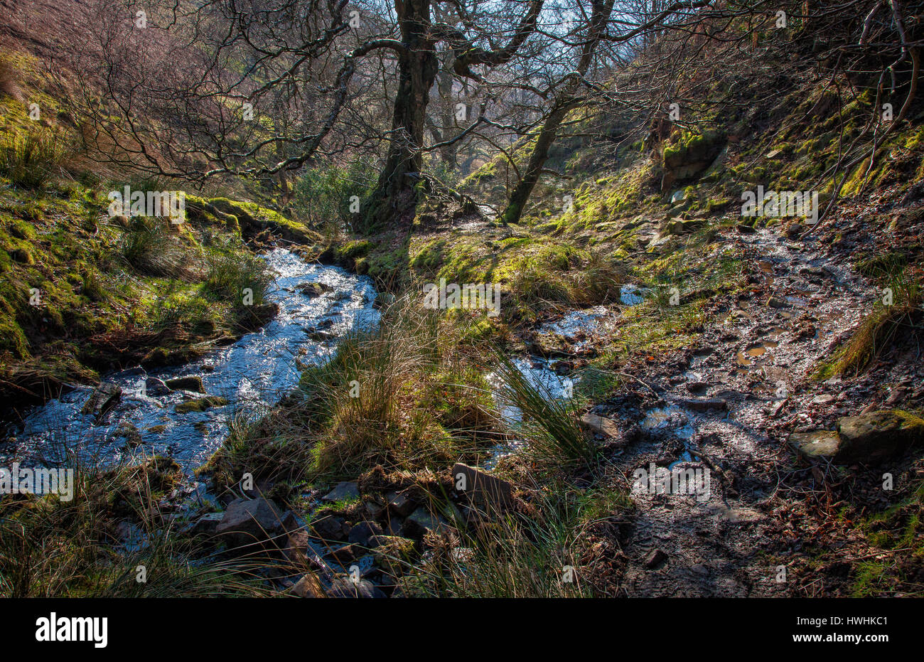 Kinder Down Fall High Resolution Stock Photography and Images - Alamy