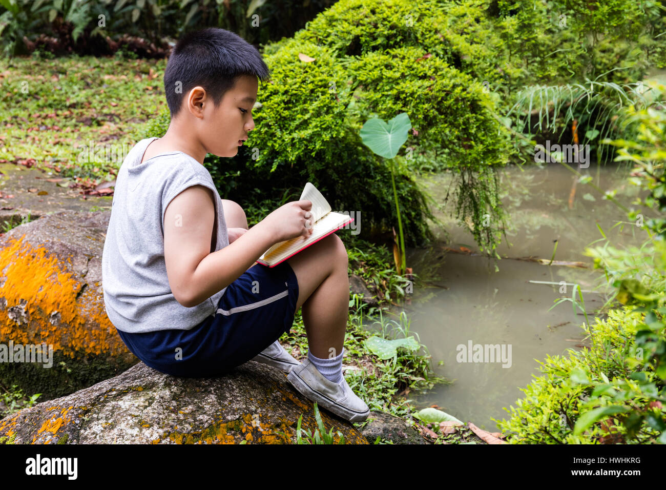Asian Chinese little boy reading book in the outdoor park Stock Photo ...