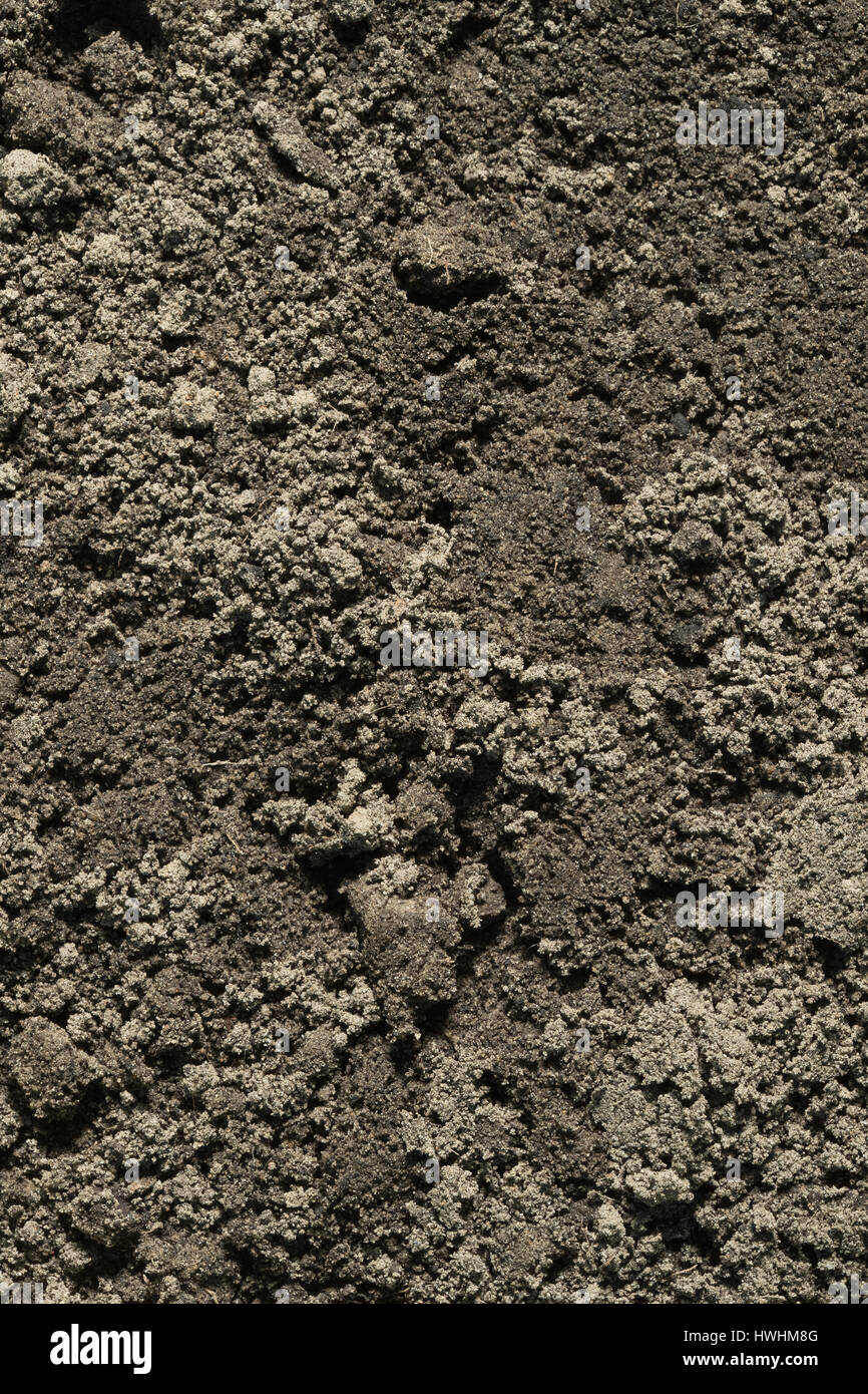Black Dark Soil Dirt Background Texture, Natural Pattern. Flat Top View ...