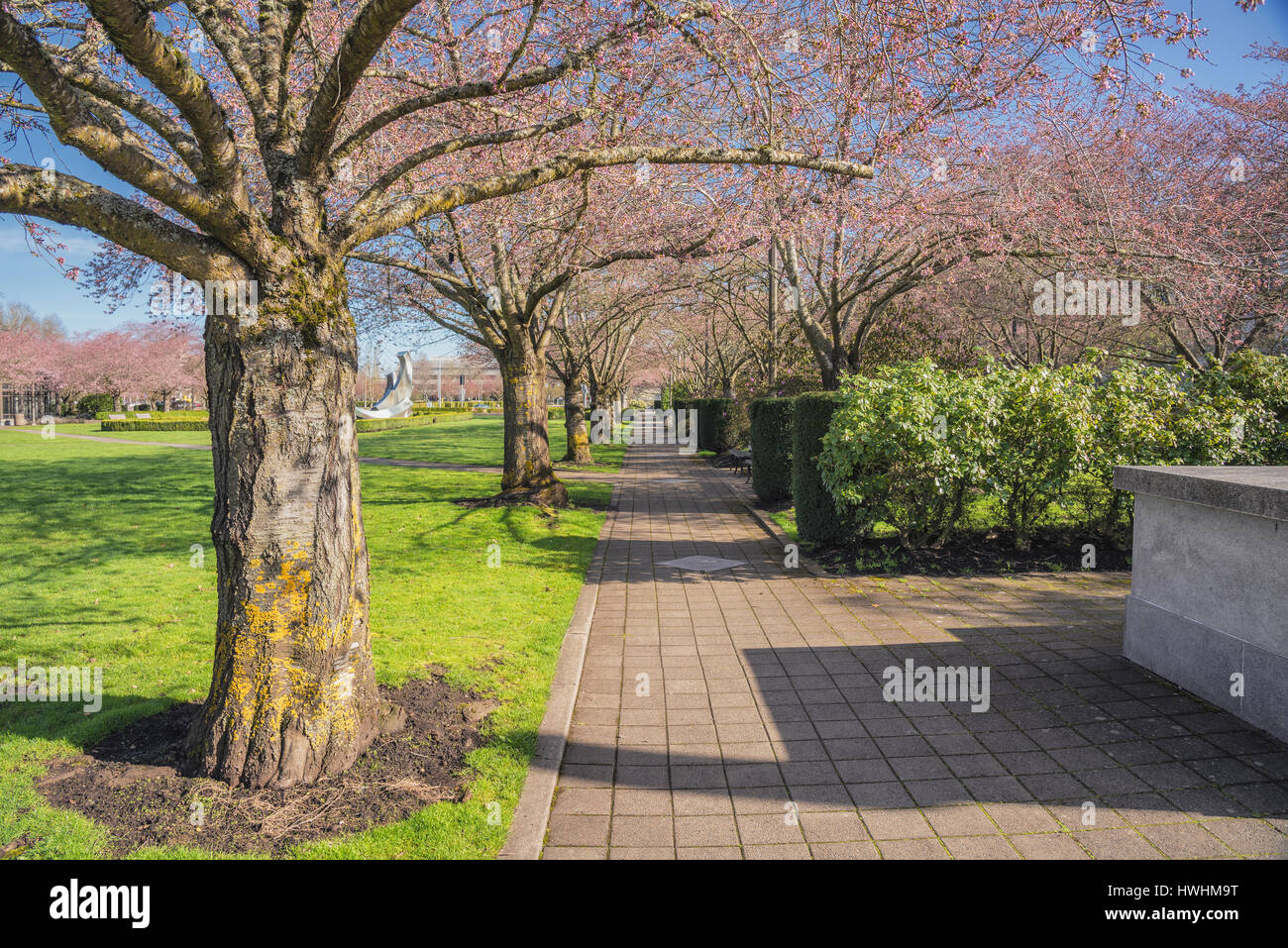 Downtown salem oregon hi-res stock photography and images - Alamy