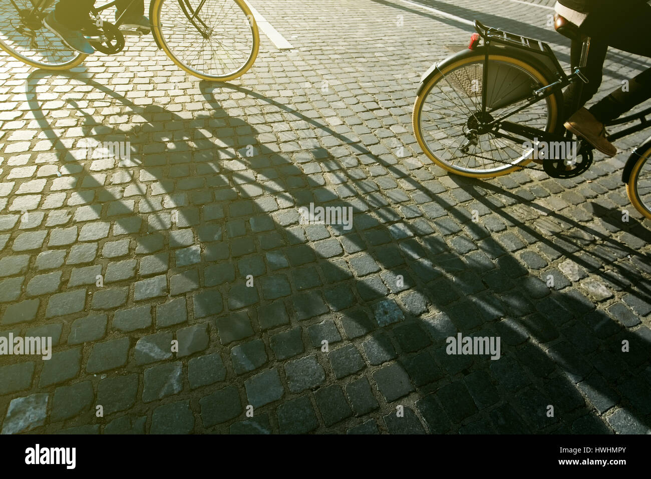 City cyclists, people riding bicycles on cobblestone road, shadow of ...