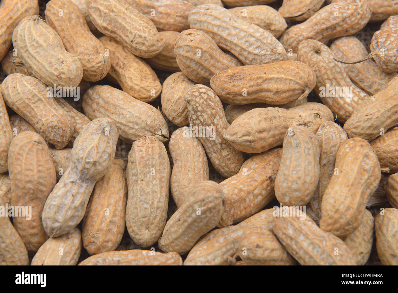 A lot of peanut in the shell for background. Raw peanuts at a farmer's ...