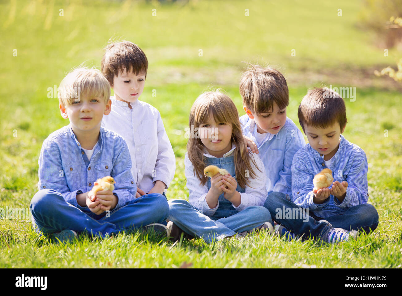 Group of preschool kids, friends and siblings, playing in the park with ...