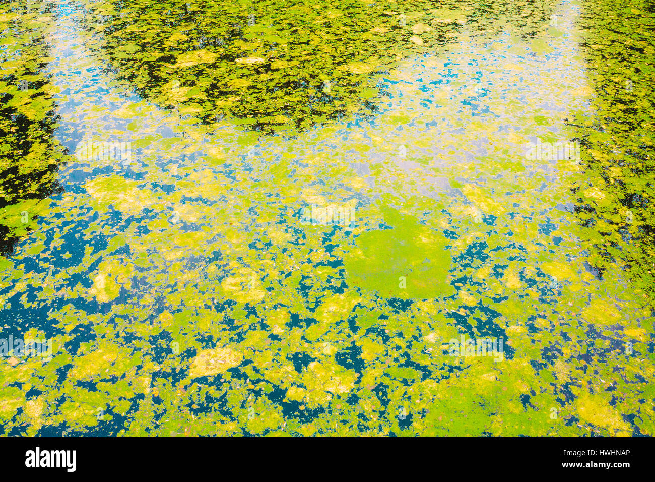 Pantone green hi-res stock photography and images - Alamy