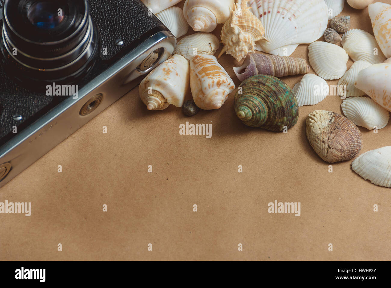 frame of seashells and photo camera on light background with copyspace ...