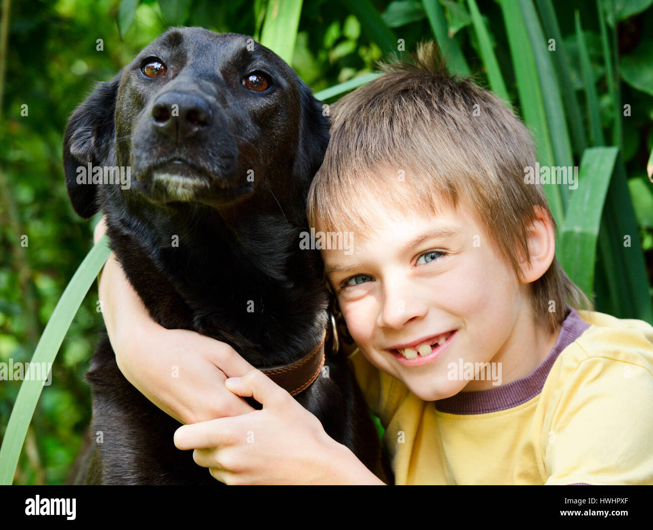 Young boy hugging black dog outdoors Stock Photo - Alamy