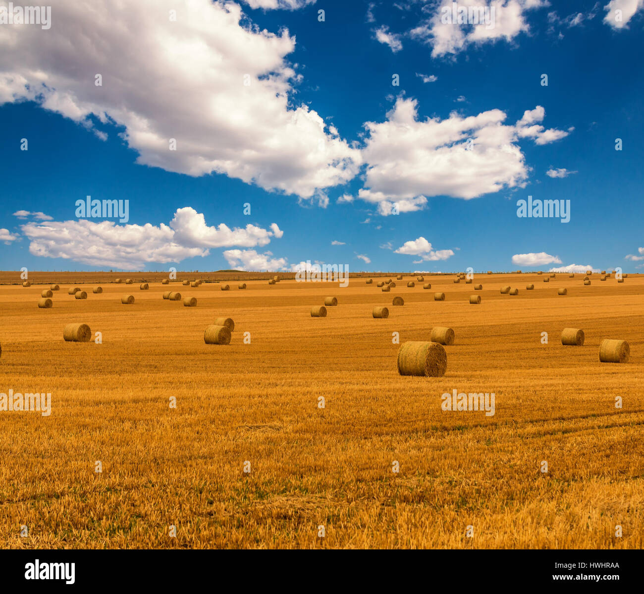 Golden straw field with hay bales and a beautiful blue cloudy sky ...