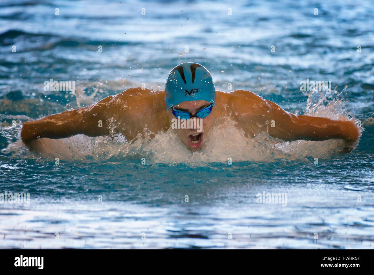Swimmer in water pool athlete hi-res stock photography and images - Alamy