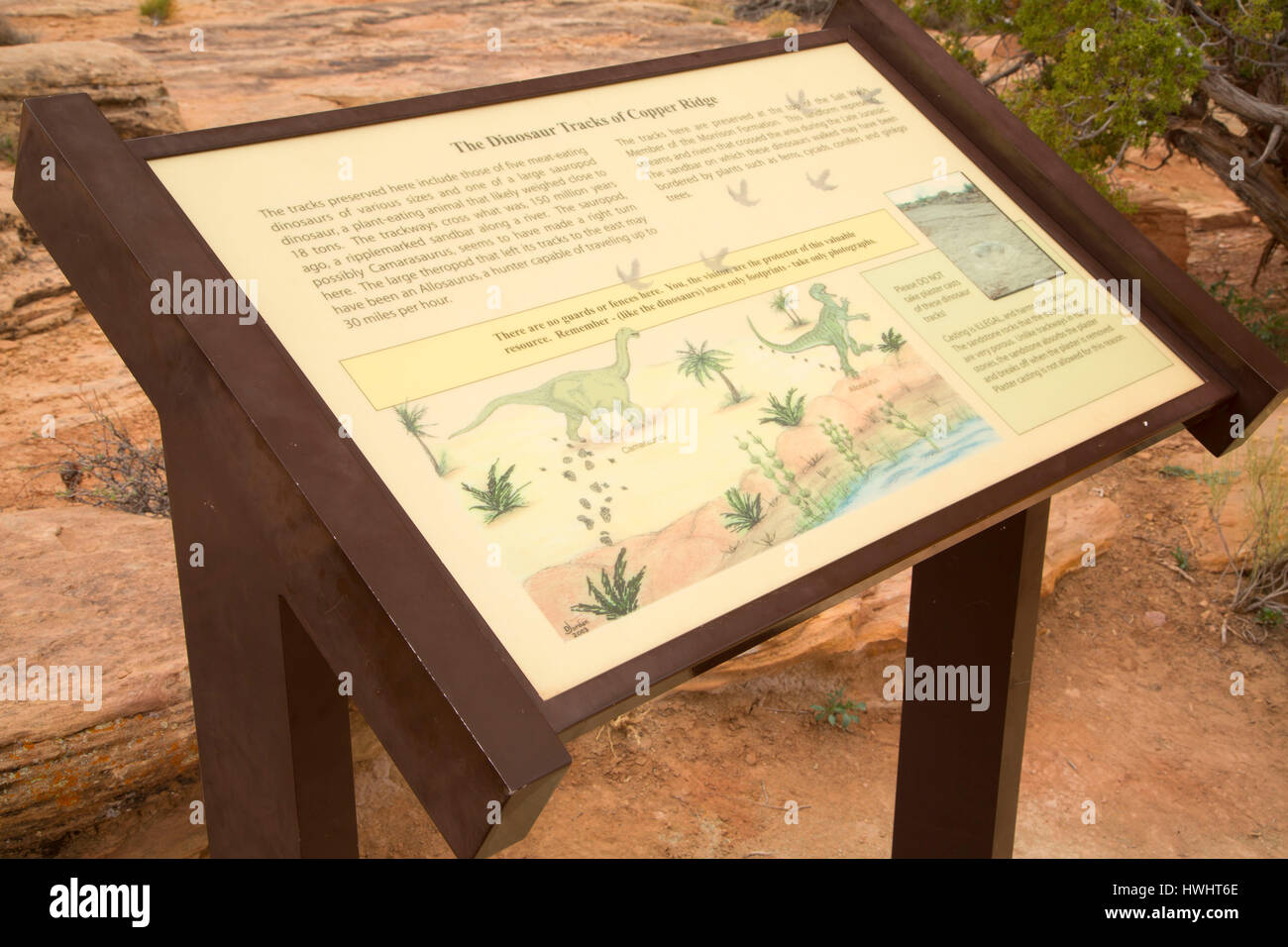 Interpretive board, Copper Ridge Sauropod Dinosaur Tracks, Grand County ...