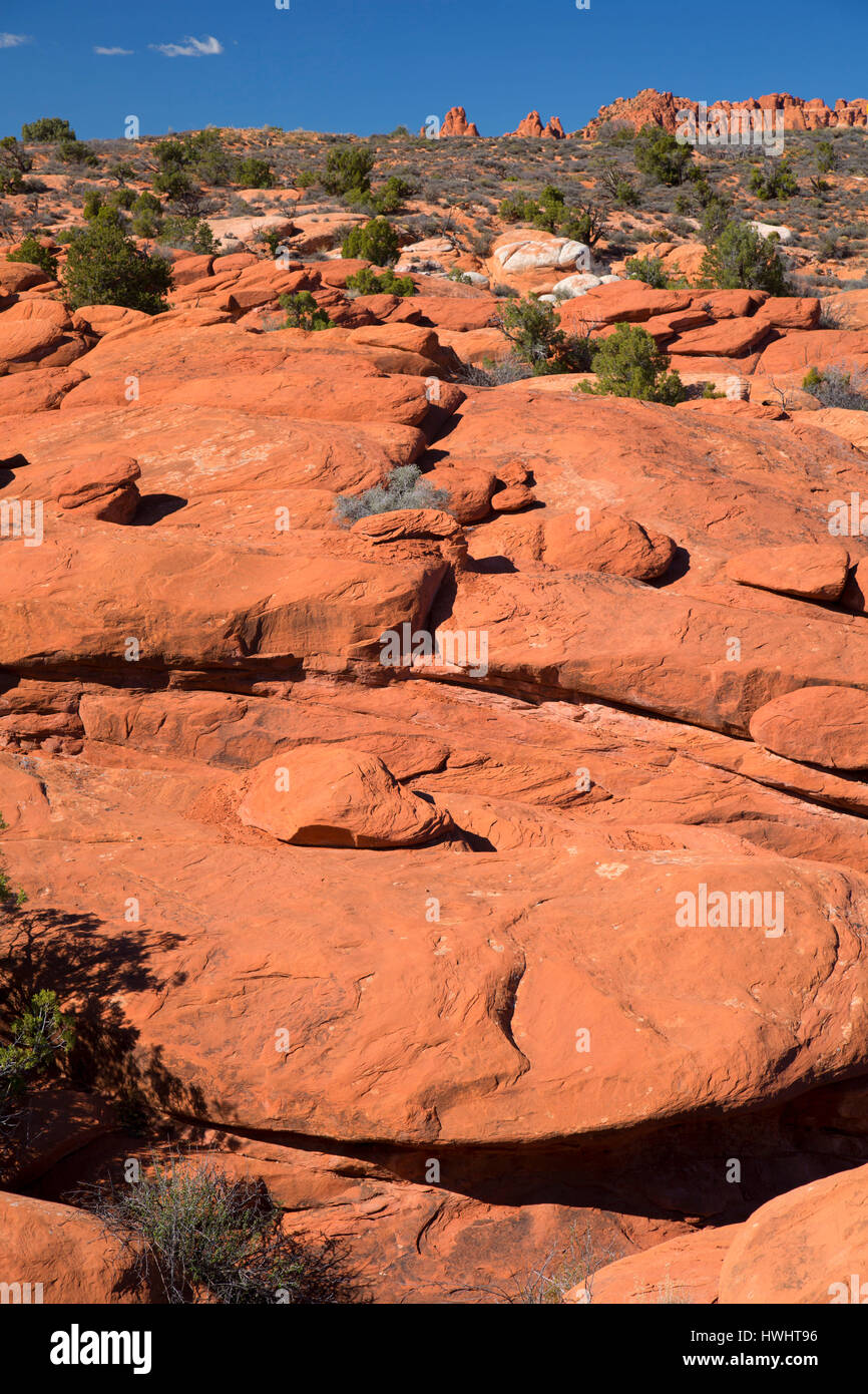View from Salt Valley Overlook, Arches National Park, Utah Stock Photo ...