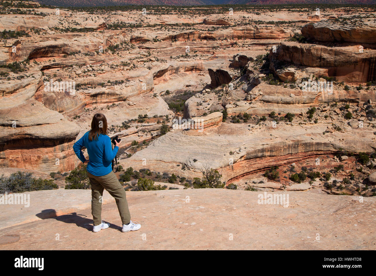 White Canyon, Natural Bridges National Monument, Utah Stock Photo - Alamy