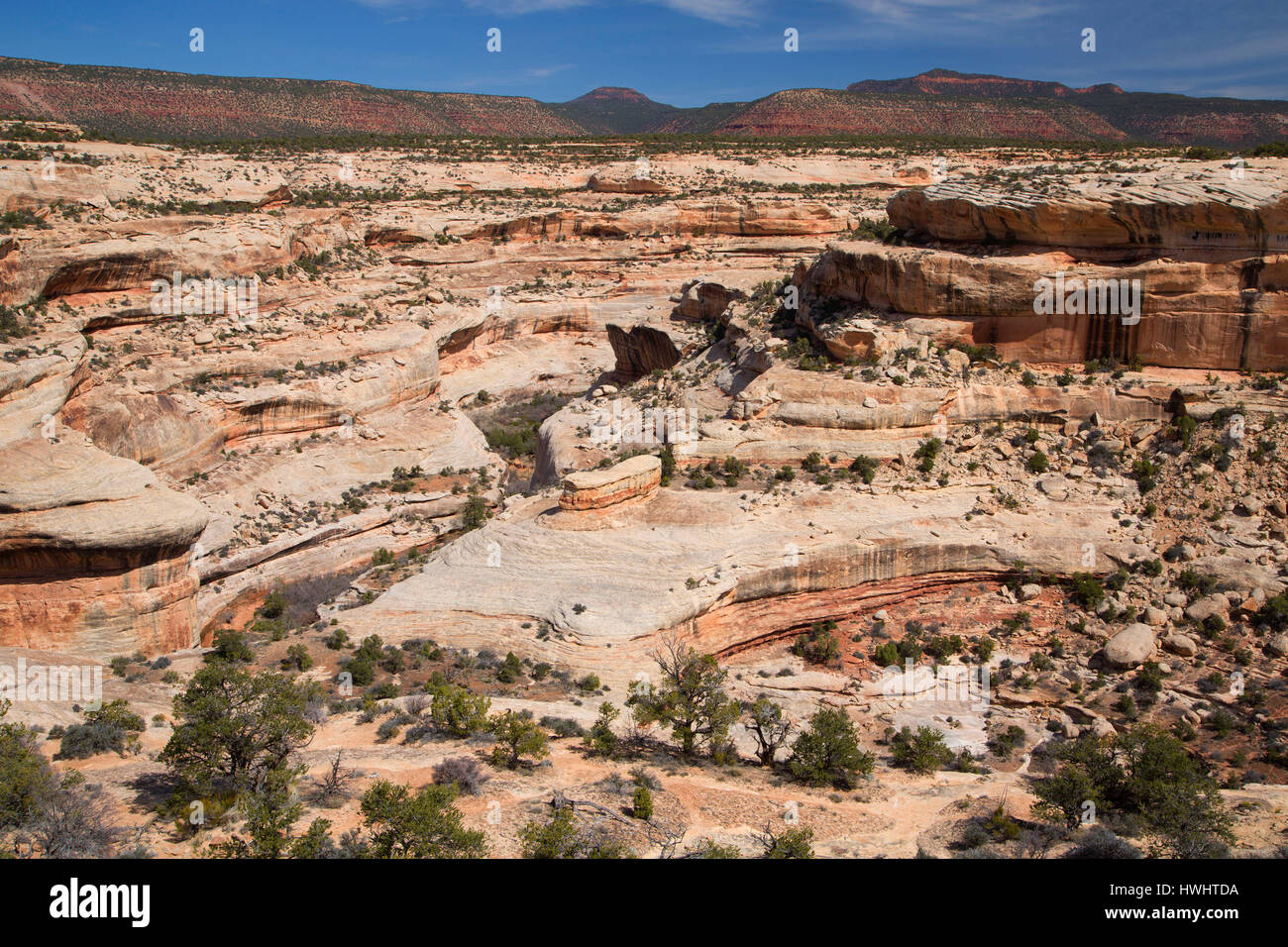White canyon hi-res stock photography and images - Alamy