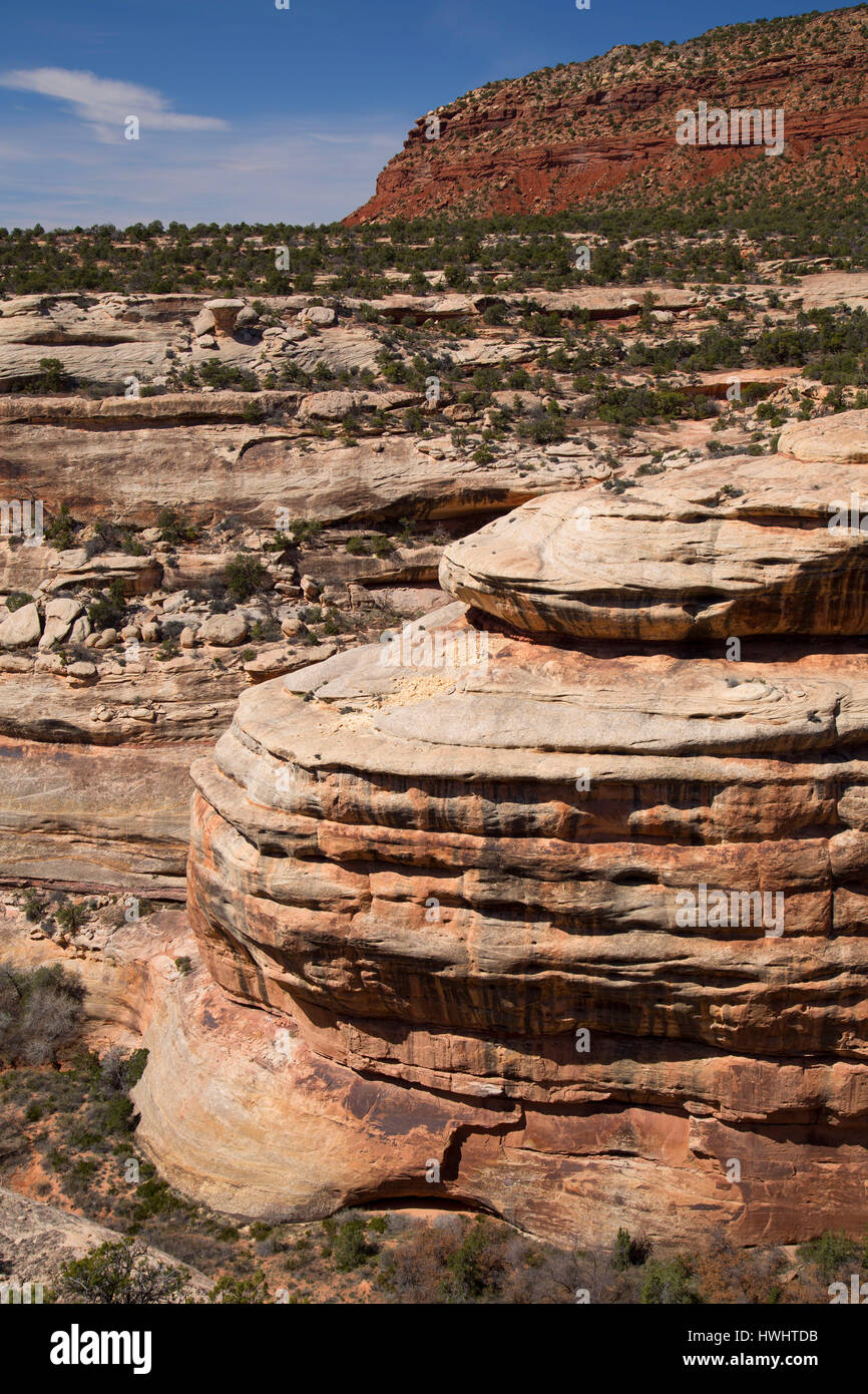 White canyon hi-res stock photography and images - Alamy